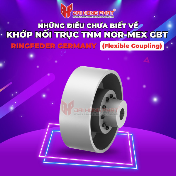 NHỮNG ĐIỀU CHƯA BIẾT VỀ KHỚP NỐI TRỤC TNM NOR-MEX GBT RINGFEDER GERMANY - Đại Hồng Phát